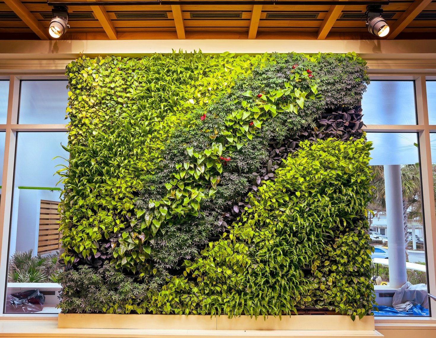 How Indoor Plants Enhance Malls & Retail Spaces | Natura